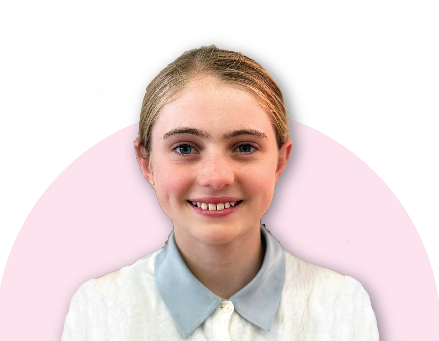 Integrated Humanities Project